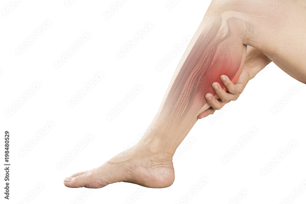 calf muscle pain Stock Photo | Adobe Stock