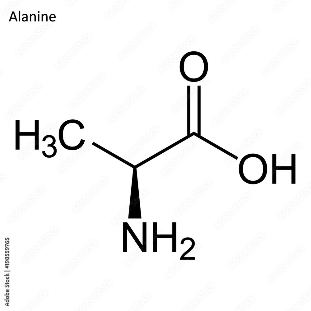 Skeletal formula of Alanine Stock Vector | Adobe Stock