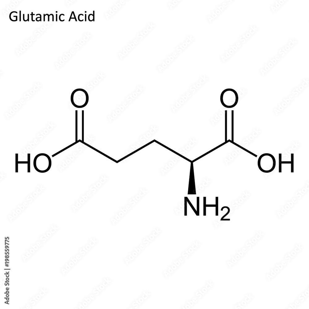 Skeletal formula of Glutamic Acid Stock Vector | Adobe Stock