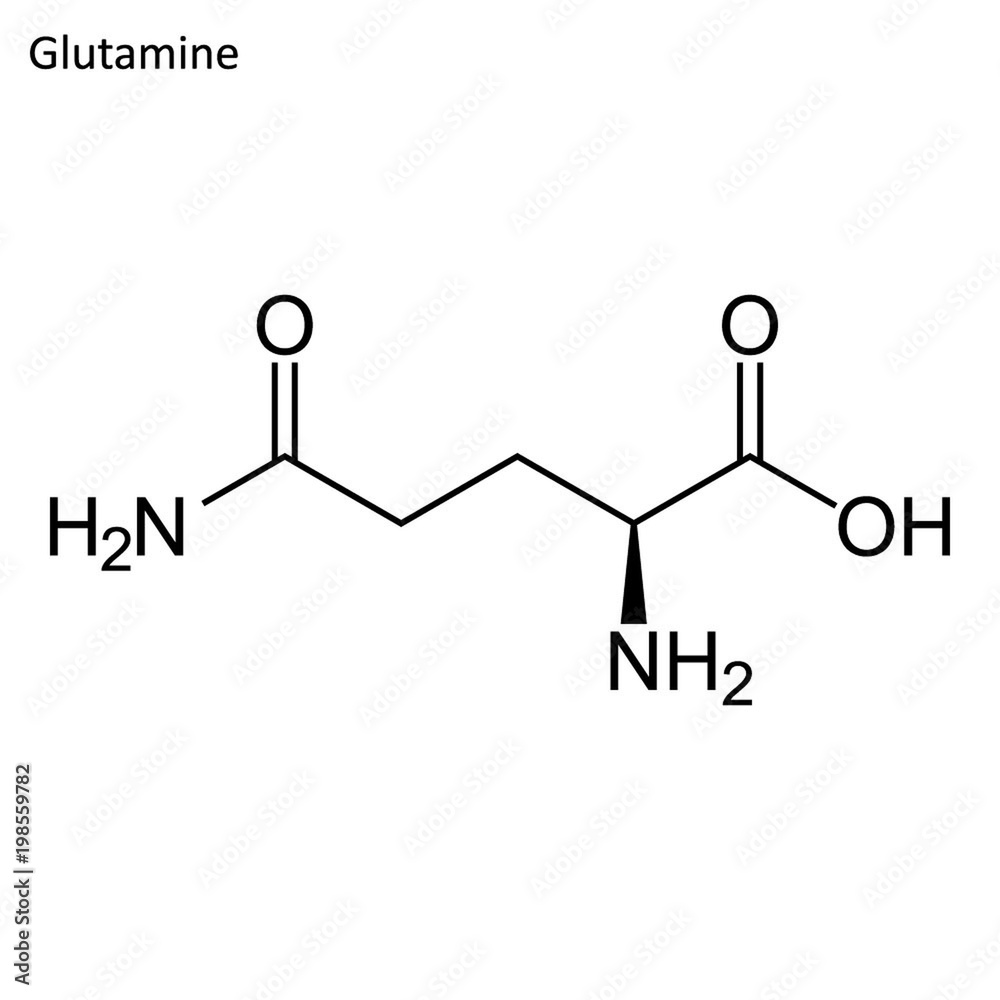 Skeletal formula of Glutamine Stock Vector | Adobe Stock