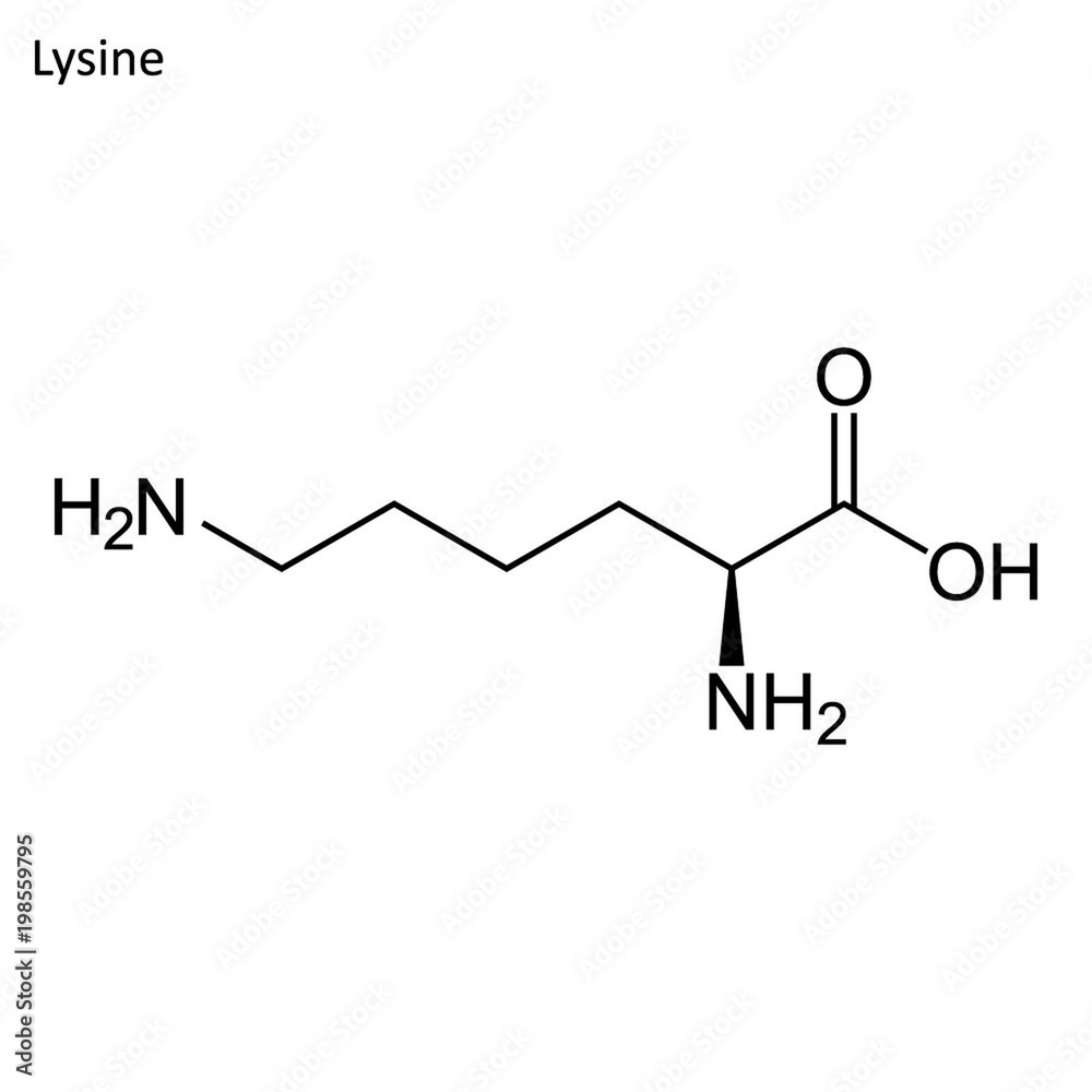 Skeletal formula of Lysine Stock Vector | Adobe Stock