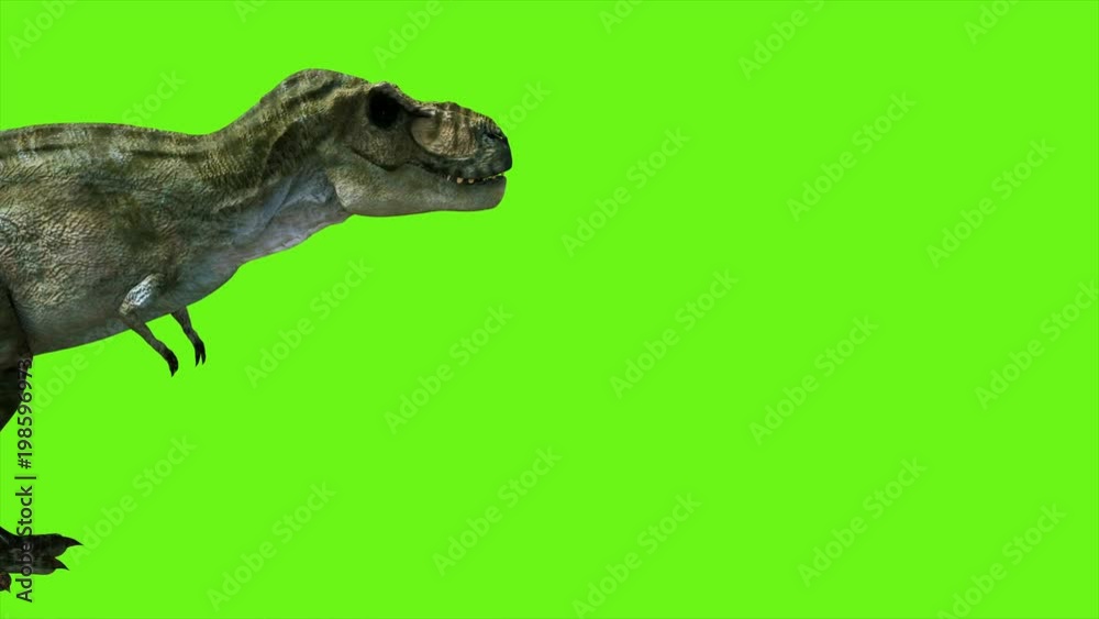 T Rex Tyrannosaur Dinosaur animation on green screen. GI realistic ...