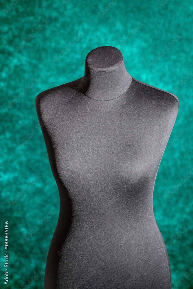 The figure in the shape of a human torso to try on dresses and display ...
