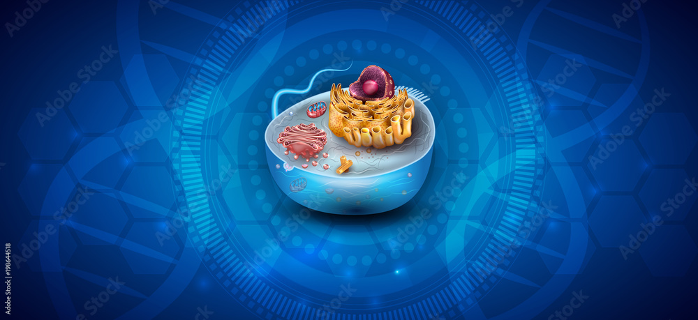 Cell structure, cross section on an abstract blue science background ...