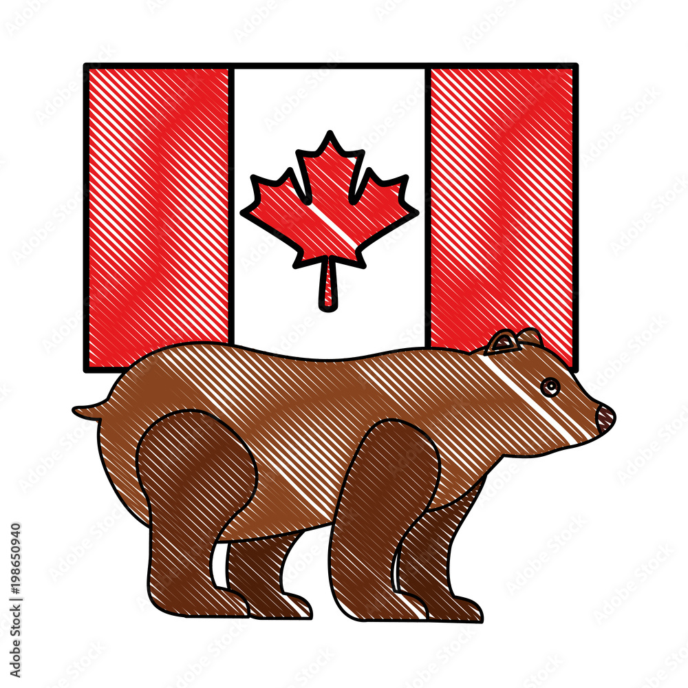 grizzly bear and flag canadian symbol vector illustration drawing color ...
