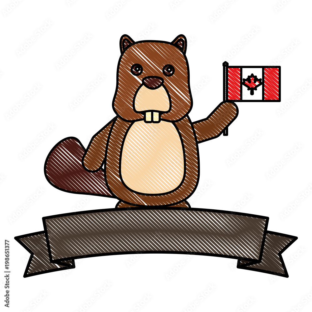 Cartoon Canadian Beaver