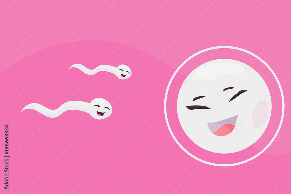 Cartoon vector illustration: Fertilization of the ovum by the ...