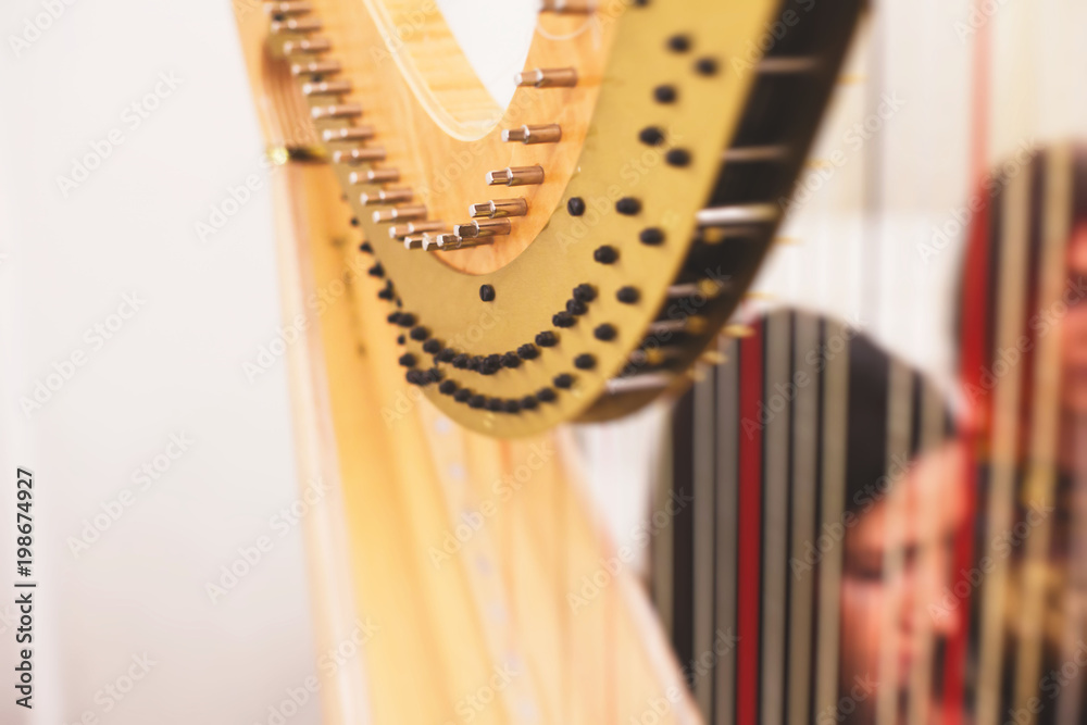 Female musician harpist playing harp during symphonic concert, with ...
