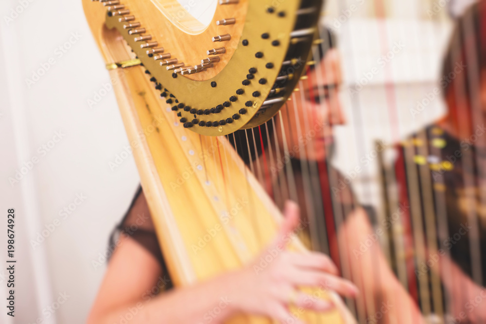 Female musician harpist playing harp during symphonic concert, with ...