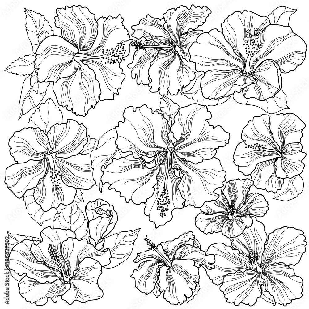 Vektorová grafika „Vector square sprite texture ornament hibiscus ...