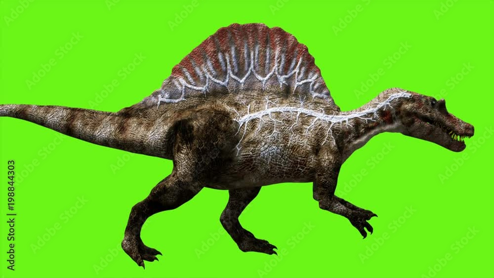 Dinosaur animation on green screen. GI realistic render. 4k. Stock 비디오 ...