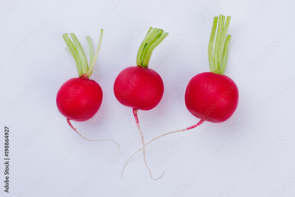 Three fresh radishes on grey background. Close up row of red organic ...