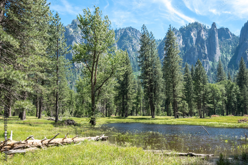 Forest, lakes and rivers of the Yosemite Valley. Yosemite National Park ...