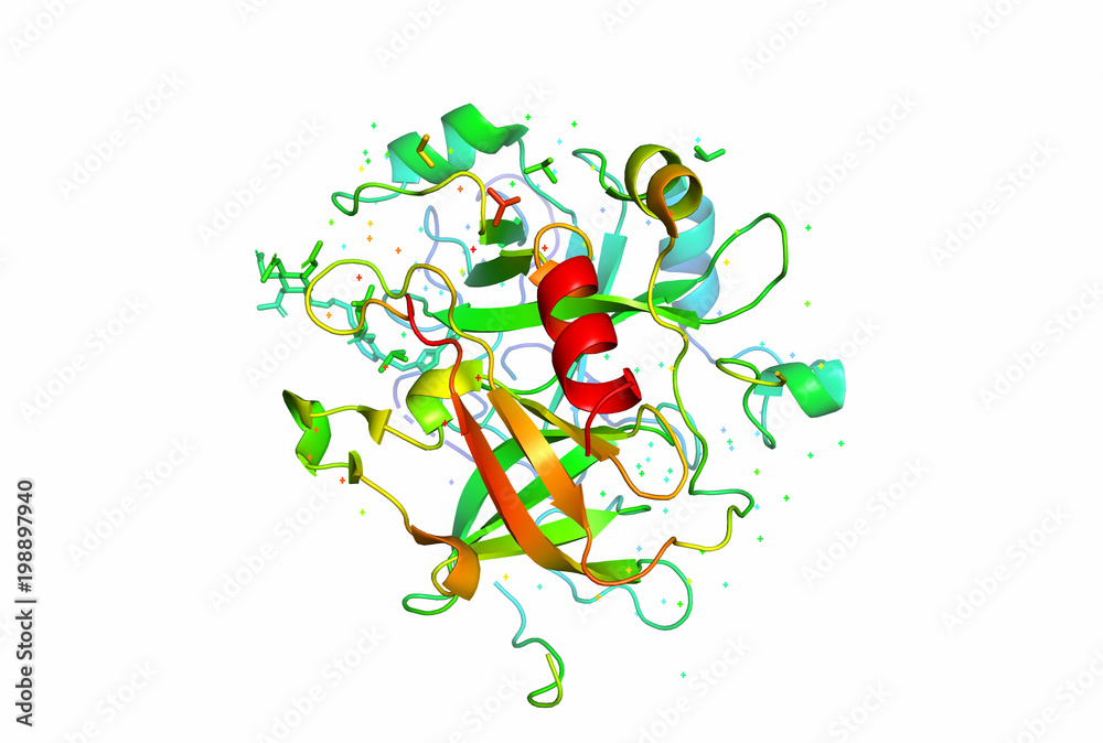 3D model of a protein molecule. Stock Illustration | Adobe Stock