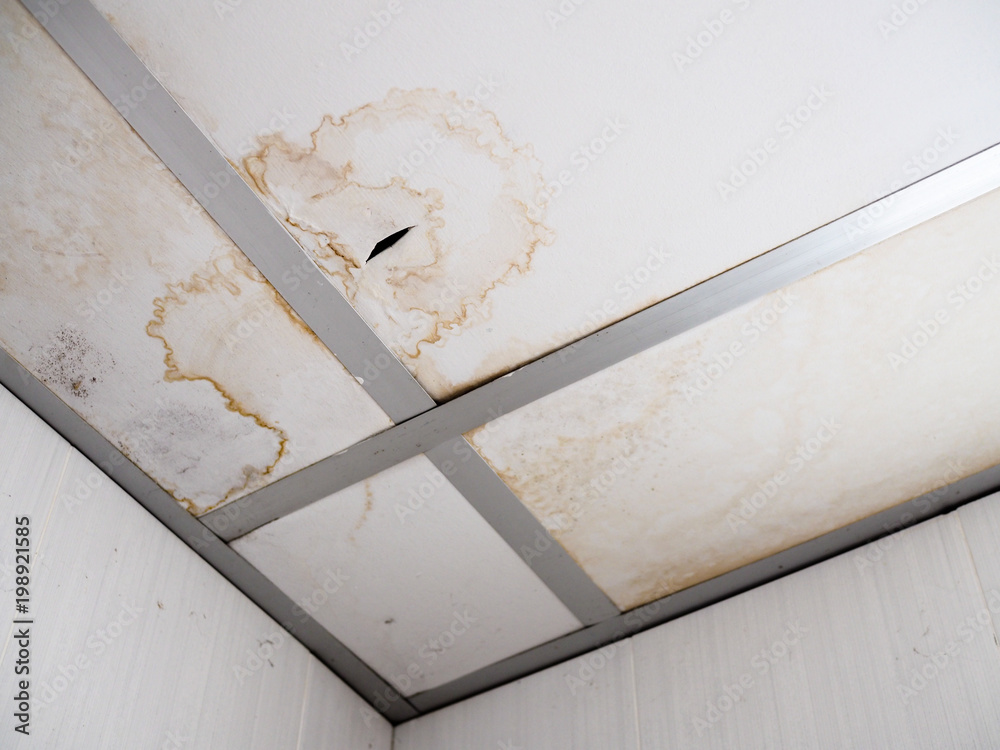 Ceiling panels damaged hole in roof restroom, dirty concept. Stock ...