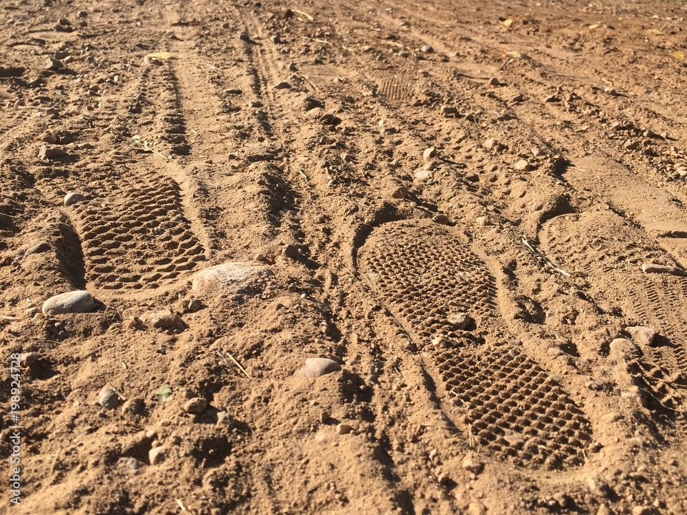 Shoe Tracks In Dirt