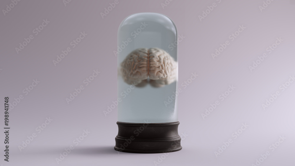 Human Brain Floating in a Liquid in a Bell Jar 3d illustration Stock ...