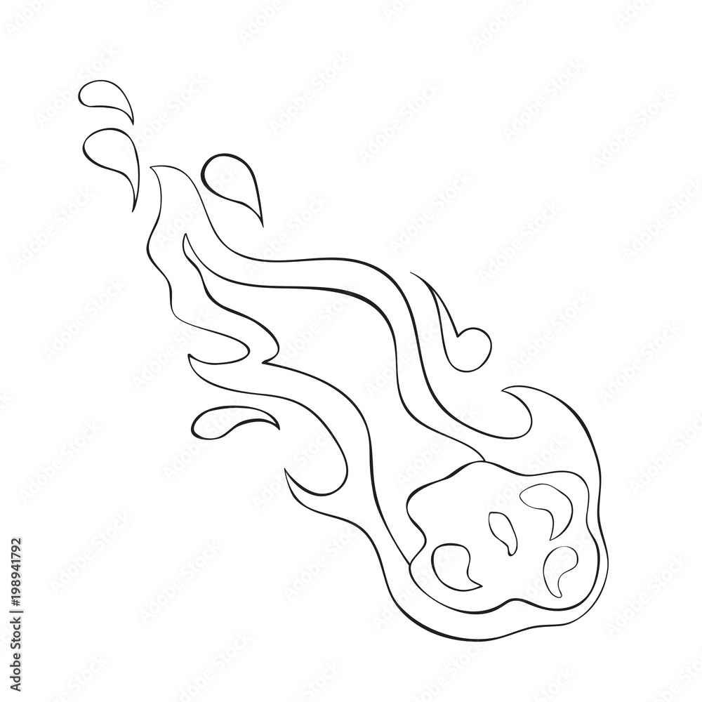Vector sketch illustration of an object of nature. Outline hand drawing ...
