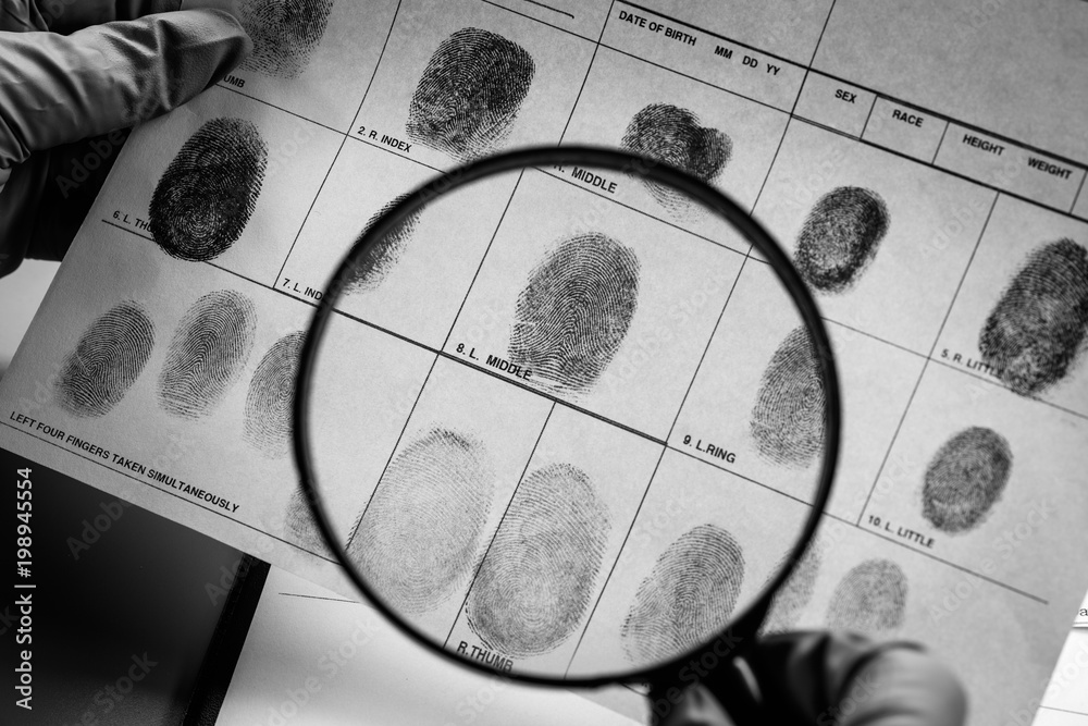 Detective through a magnifying glass looking at a fingerprint Stock ...