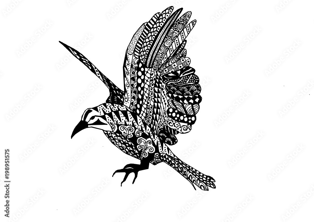 Bird, entangle drawing Stock Illustration | Adobe Stock
