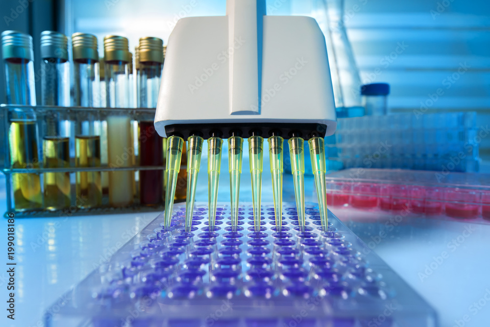 Multichannel pipette load samples in pcr microplate with 96 wells ...
