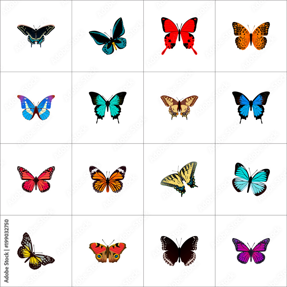 Set of butterfly realistic symbols with polyommatus icarus, violet wing ...