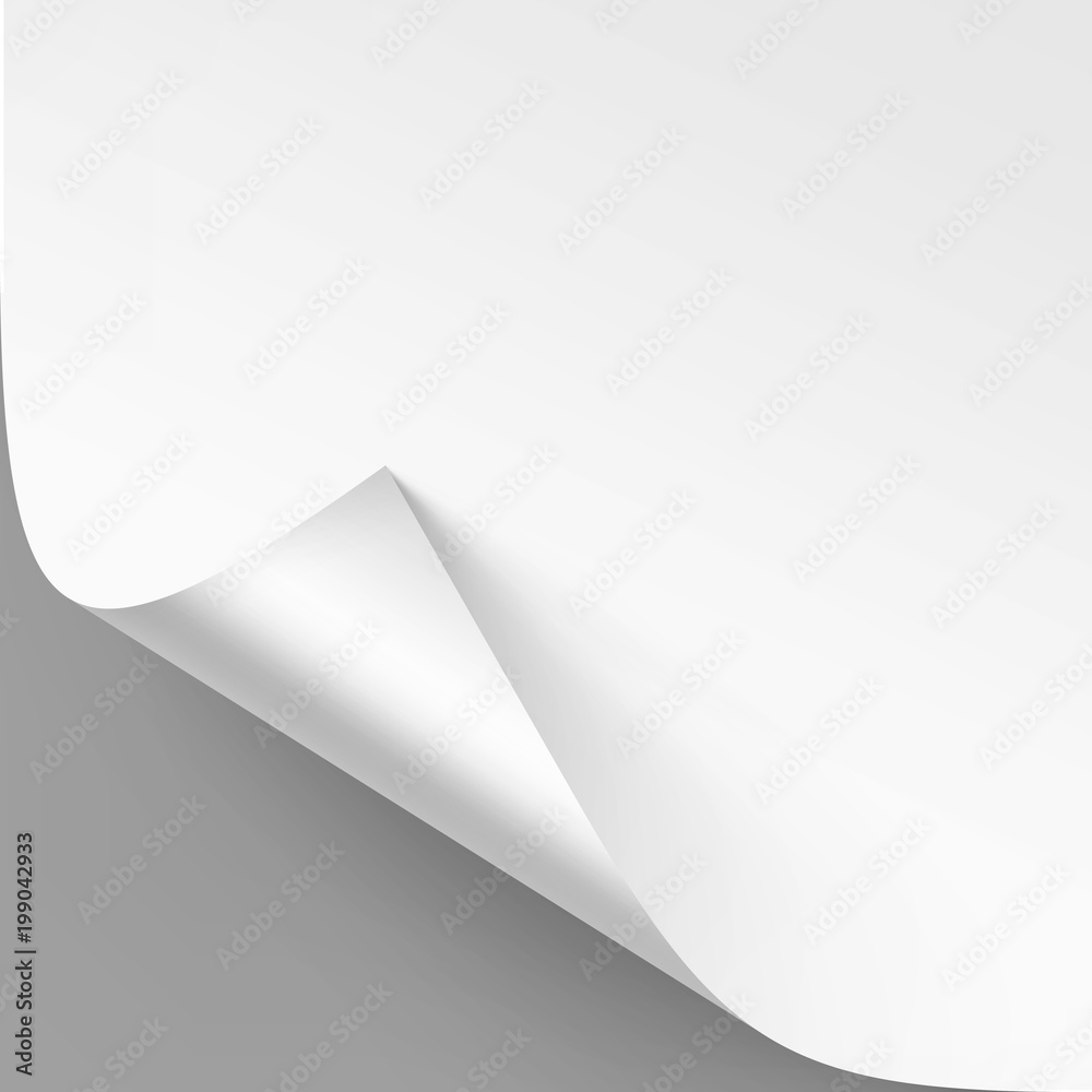 Vector Curled corner of White paper with shadow Mock up Close up ...