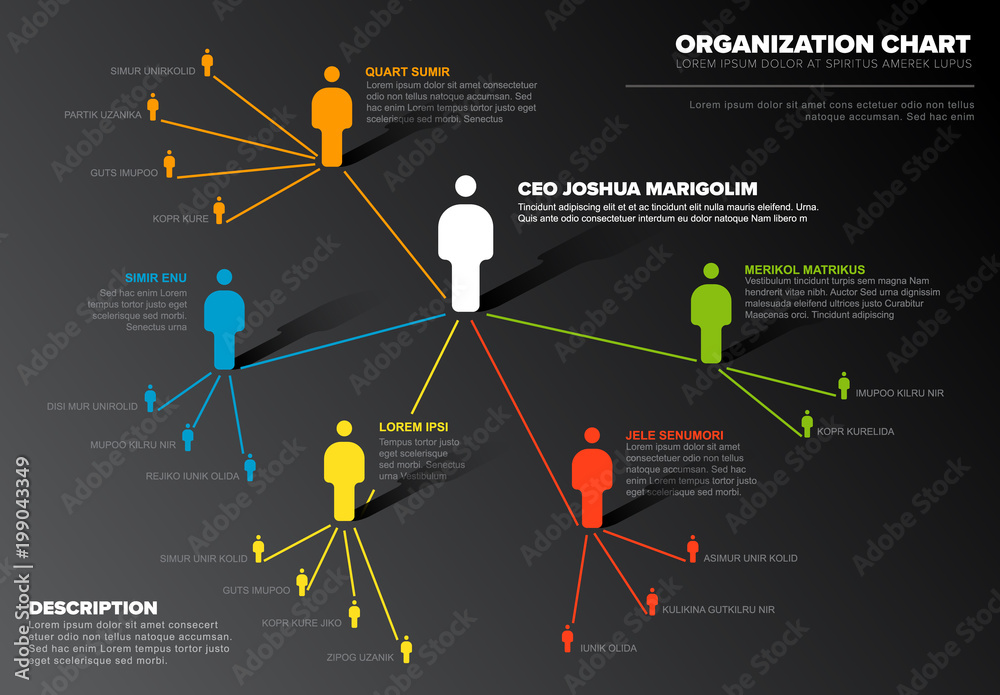 Company organization hierarchy schema diagram template Stock Vector ...