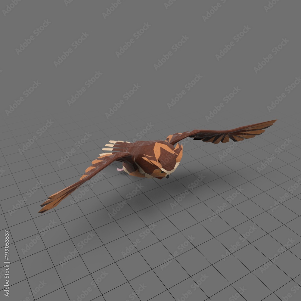Stylized owl flying 2 Stock 3D asset | Adobe Stock