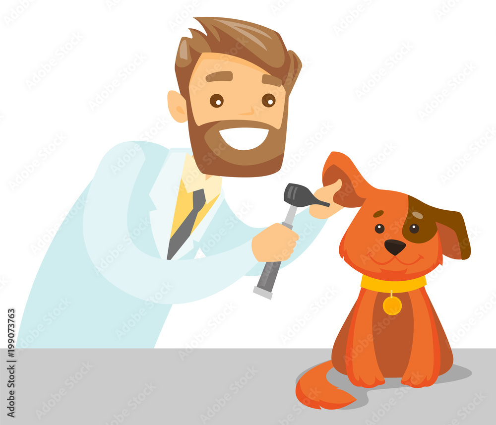 Caucasian white veterinarian doctor examining the dog in the hospital ...