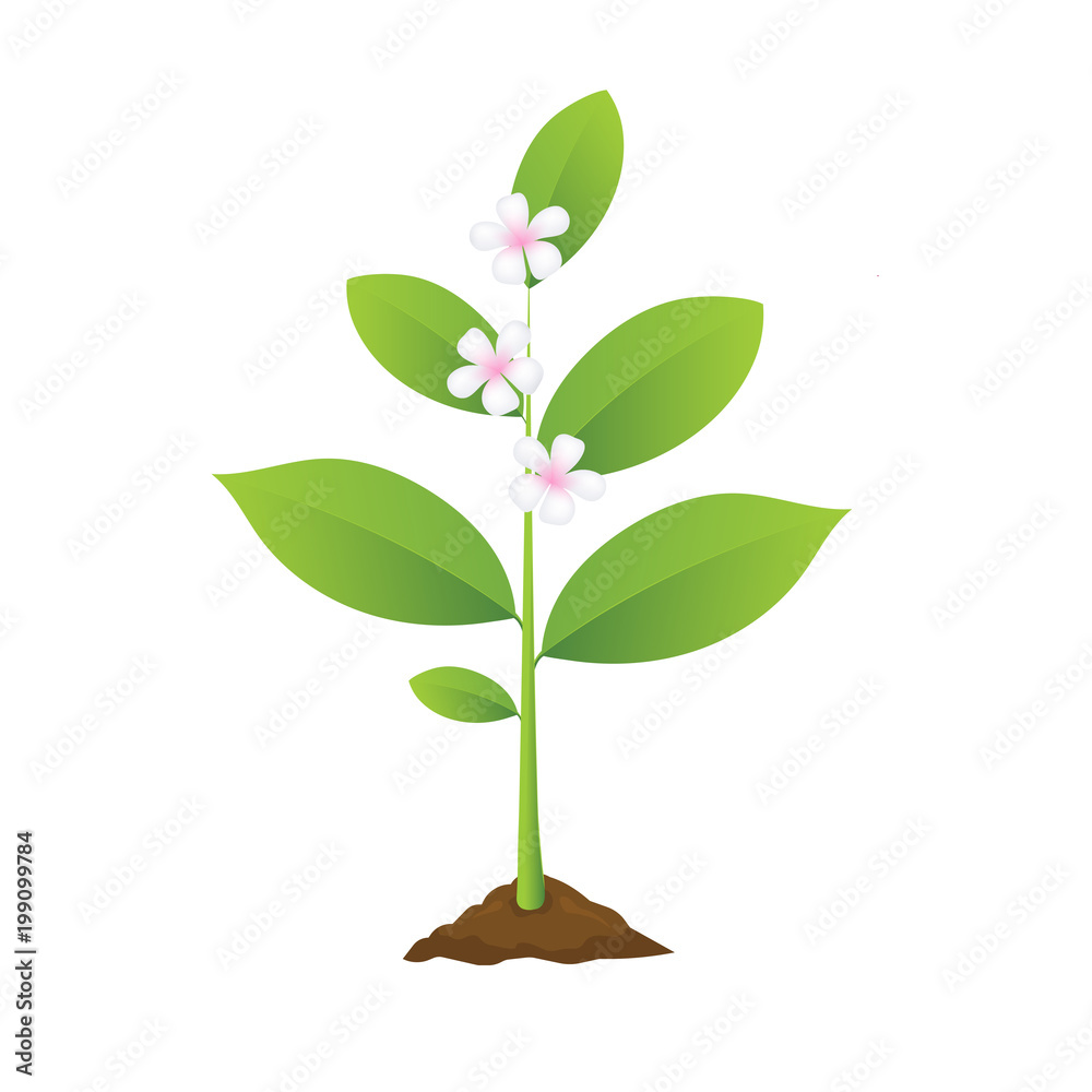 Flower Sprout Clipart