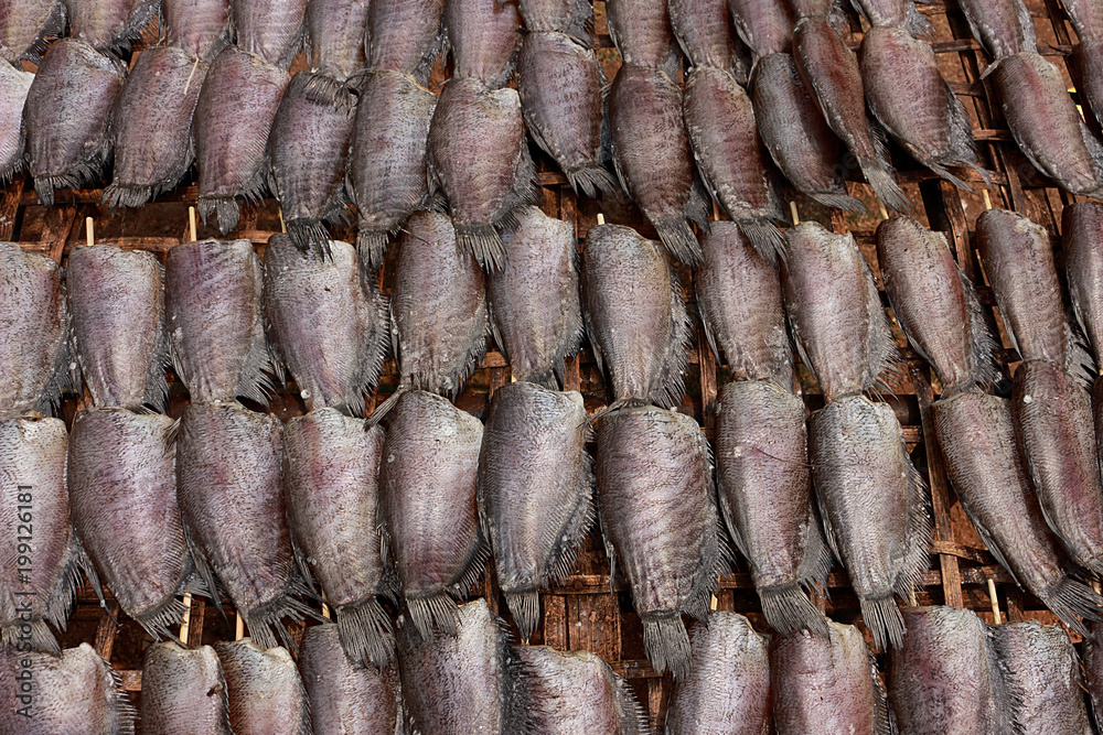 Single sunshine dried fish made from trichogaster pectoralis Stock ...