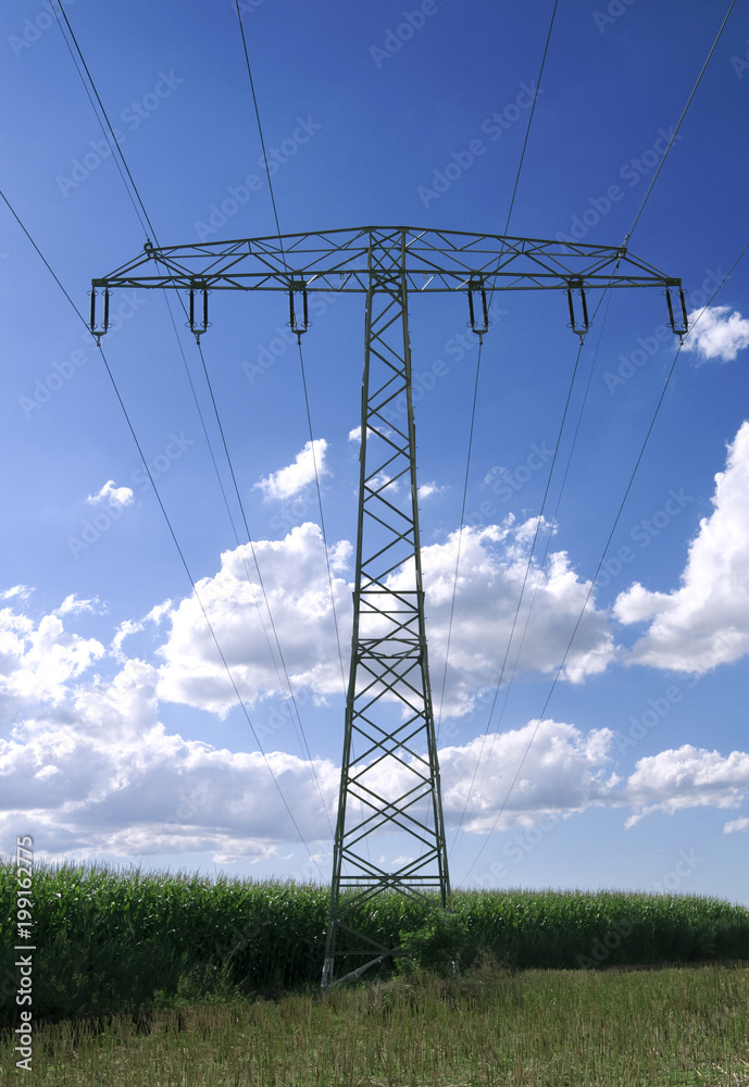 Power Lines: 110 KV high-voltage power line over a maize field and a ...