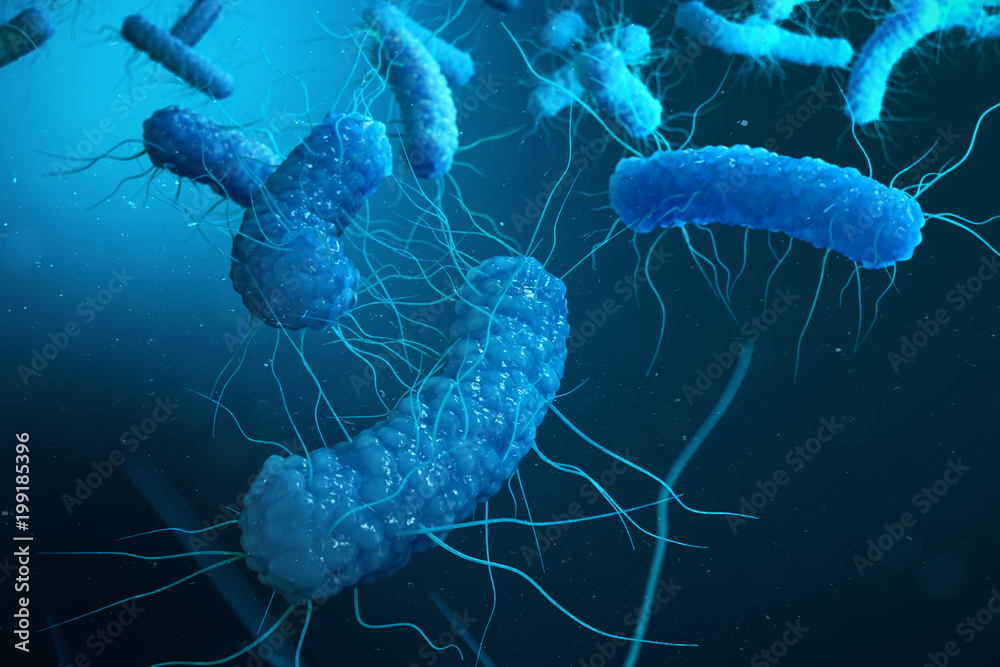 Enterobacterias Gram negativas Proteobacteria, bacteria such as ...