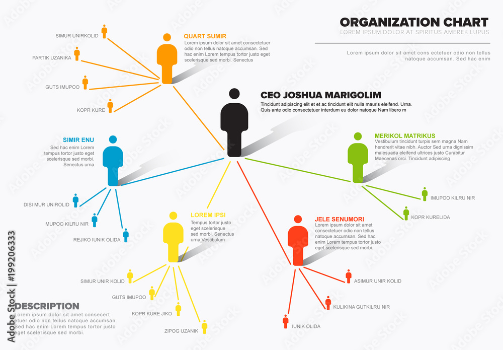 Company/Organization Network Infographic Stock Template | Adobe Stock