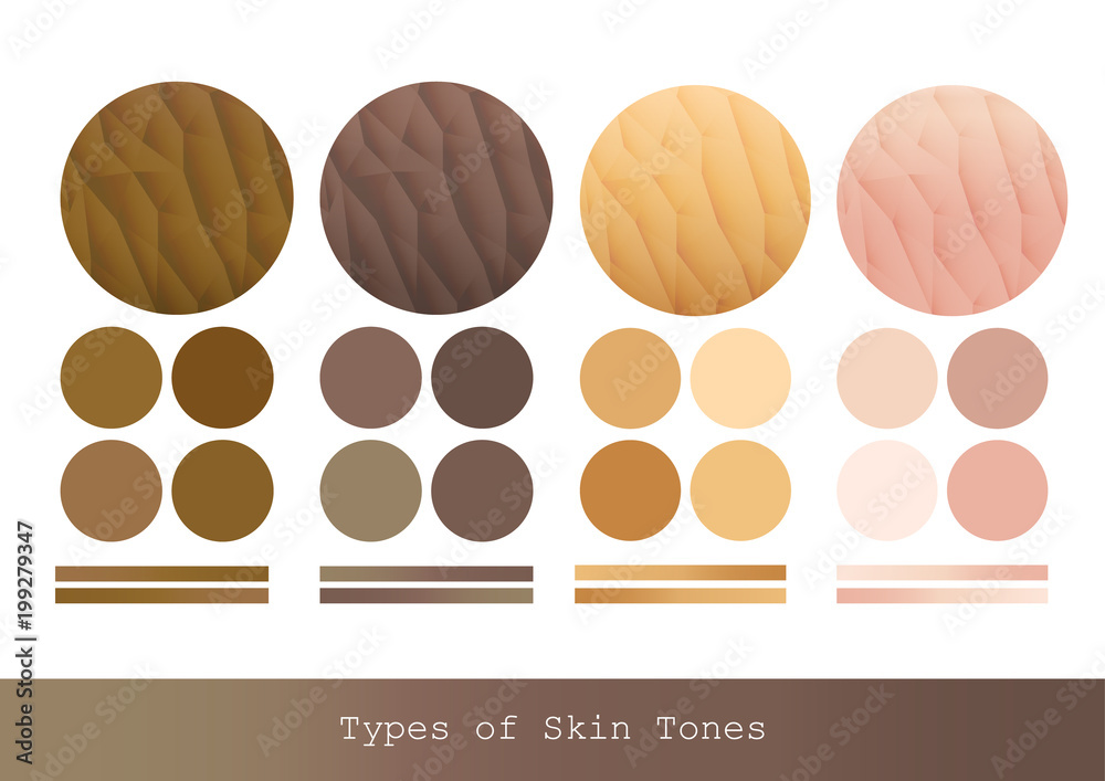 Types of Skin Tones color and texture vector illustration. Stock Vector ...