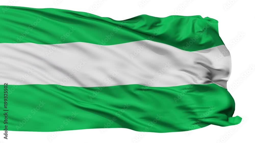 Vidéo Stock Santa Cruz flag, city of Bolivia, realistic animation ...