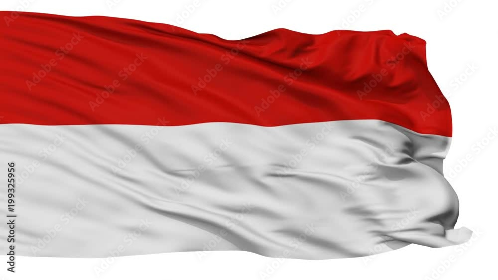Tarija flag, city of Bolivia, realistic animation isolated on white ...