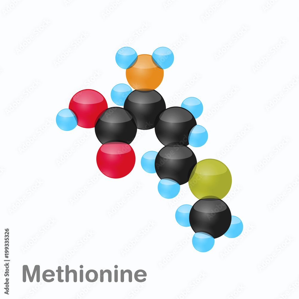 Molecule of Methionine, Met, an amino acid used in the biosynthesis of ...