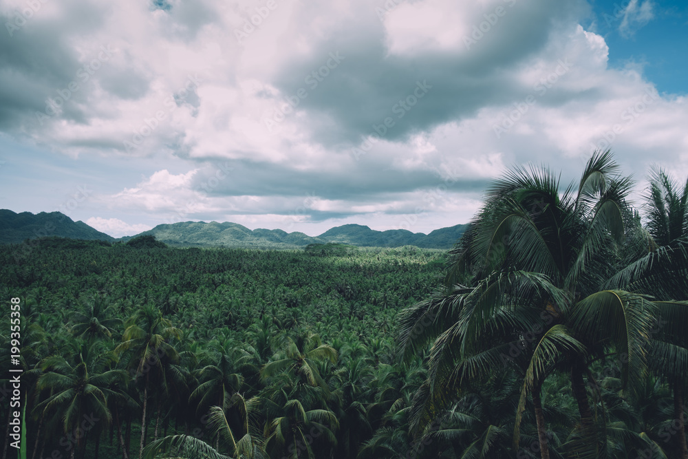Siargao typical landscape, stunning nature and surf paradise spot in ...
