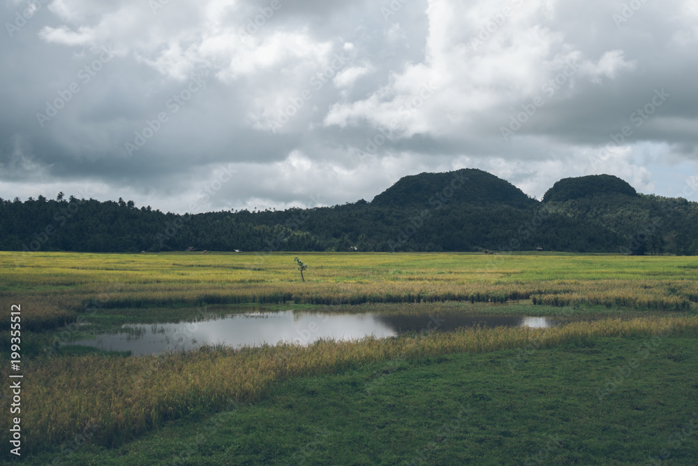 Siargao typical landscape, stunning nature and surf paradise spot in ...