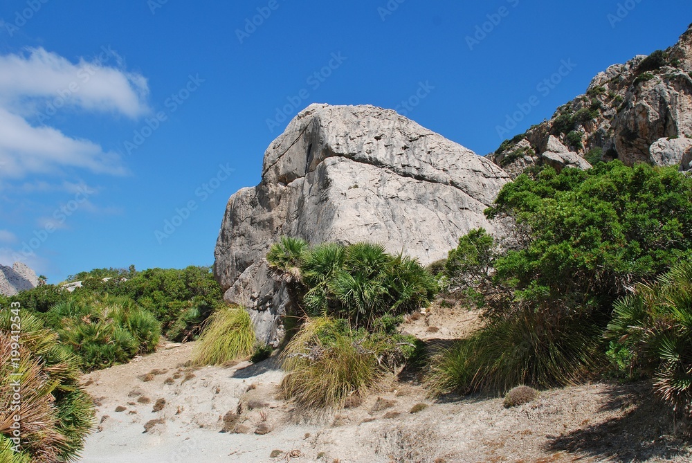 Rocks line the trail through the Boquer valley in the Serra de ...
