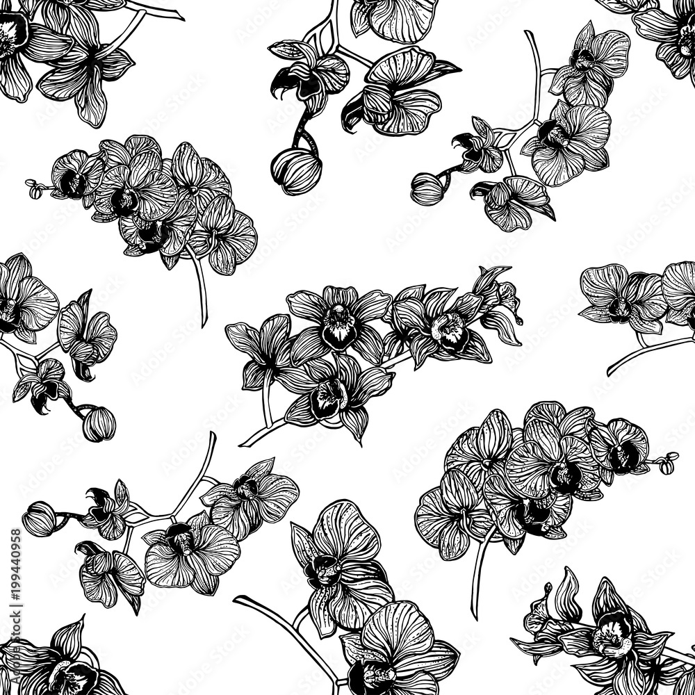 Seamless pattern of hand drawn sketch style orchid flowers isolated on ...
