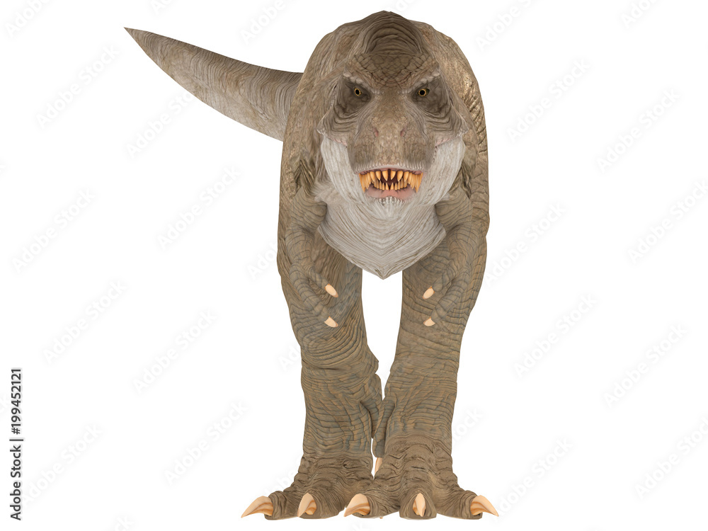 Tyrannosaurus Rex or T-rex from different point of view like top front ...