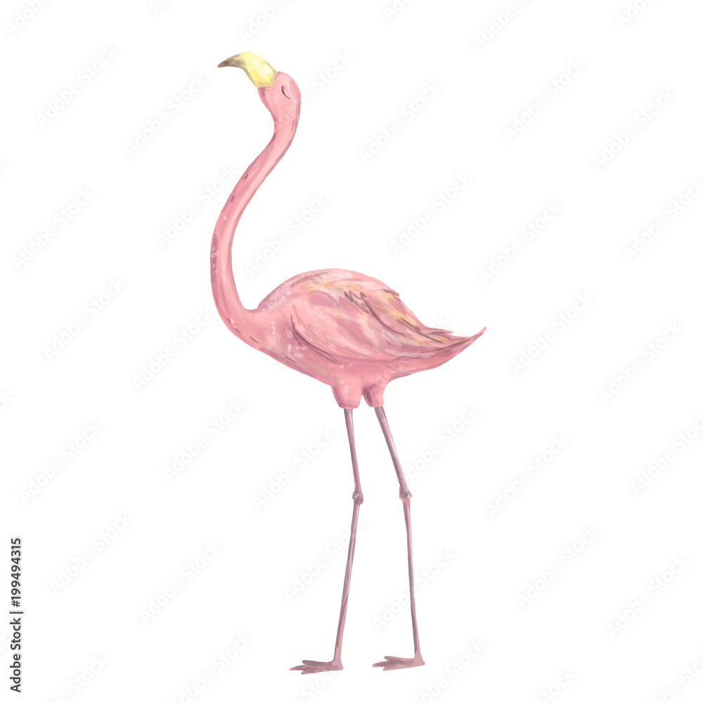 Pink flamingo digital clip art cute bird Stock Illustration | Adobe Stock