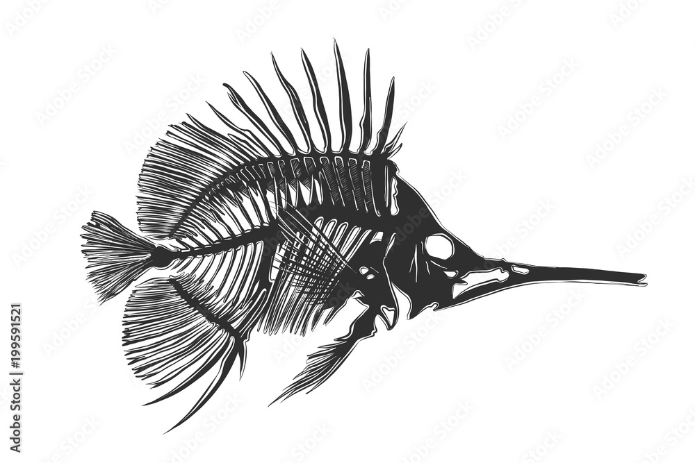 Vector engraved style illustration for posters, decoration and print ...