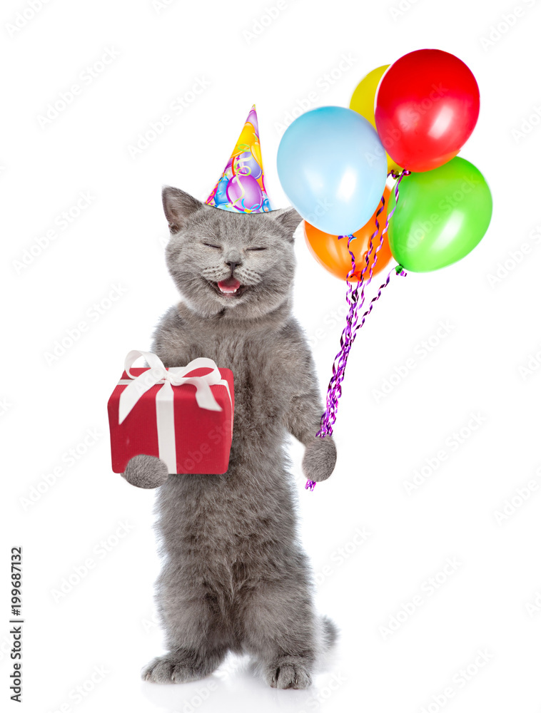 Kittens In Birthday Hats