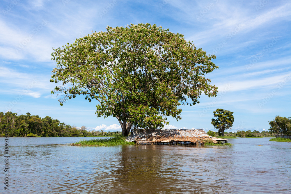 Submerged tree and roof of a house in flooded Amazon River Stock Photo ...