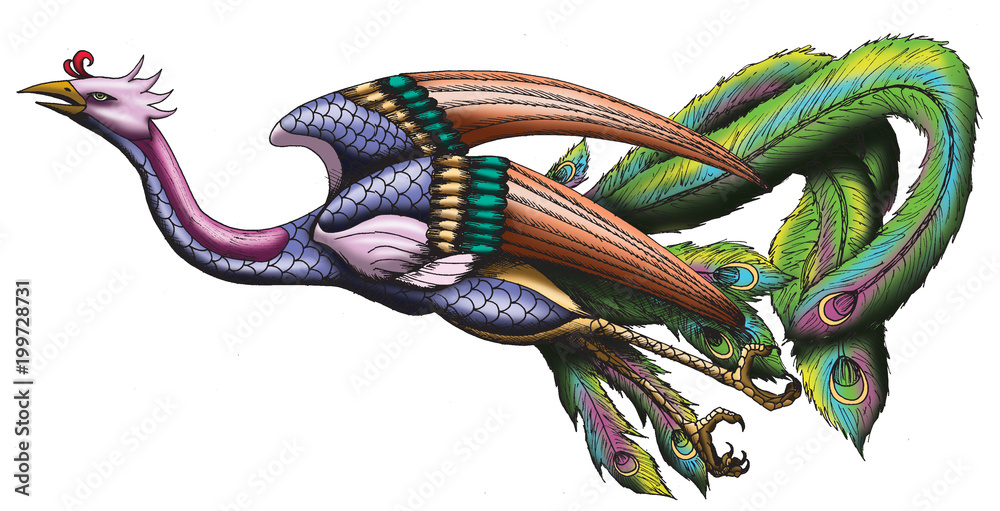 Chinese Phoenix illustration isolated Stock Illustration | Adobe Stock