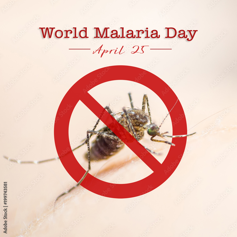 World malaria day with no mosquito sign for bite prevention of virus ...